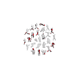 Philadelphia Phillies™ - Wooden Puzzle – Iconic Puzzles